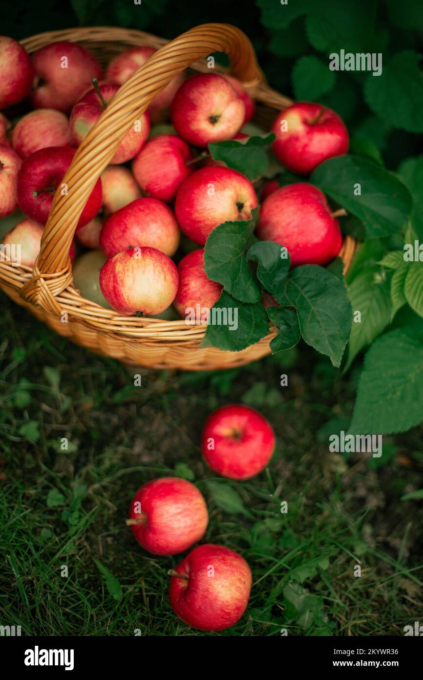 Village and harvest hi-res stock photography and images - Alamy