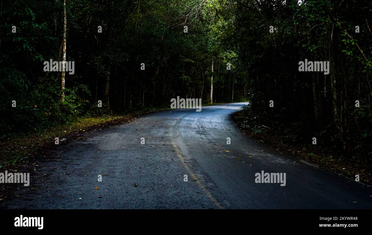 Country roads with natural roadside trees make energy work well Stock ...