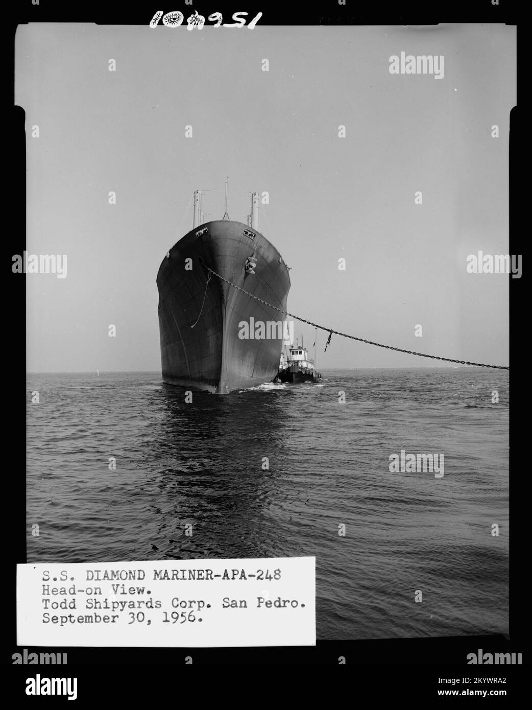 APA 248 Diamond Mariner [19-NN-APA 248 Diamond Mariner-156401] , Ships ...