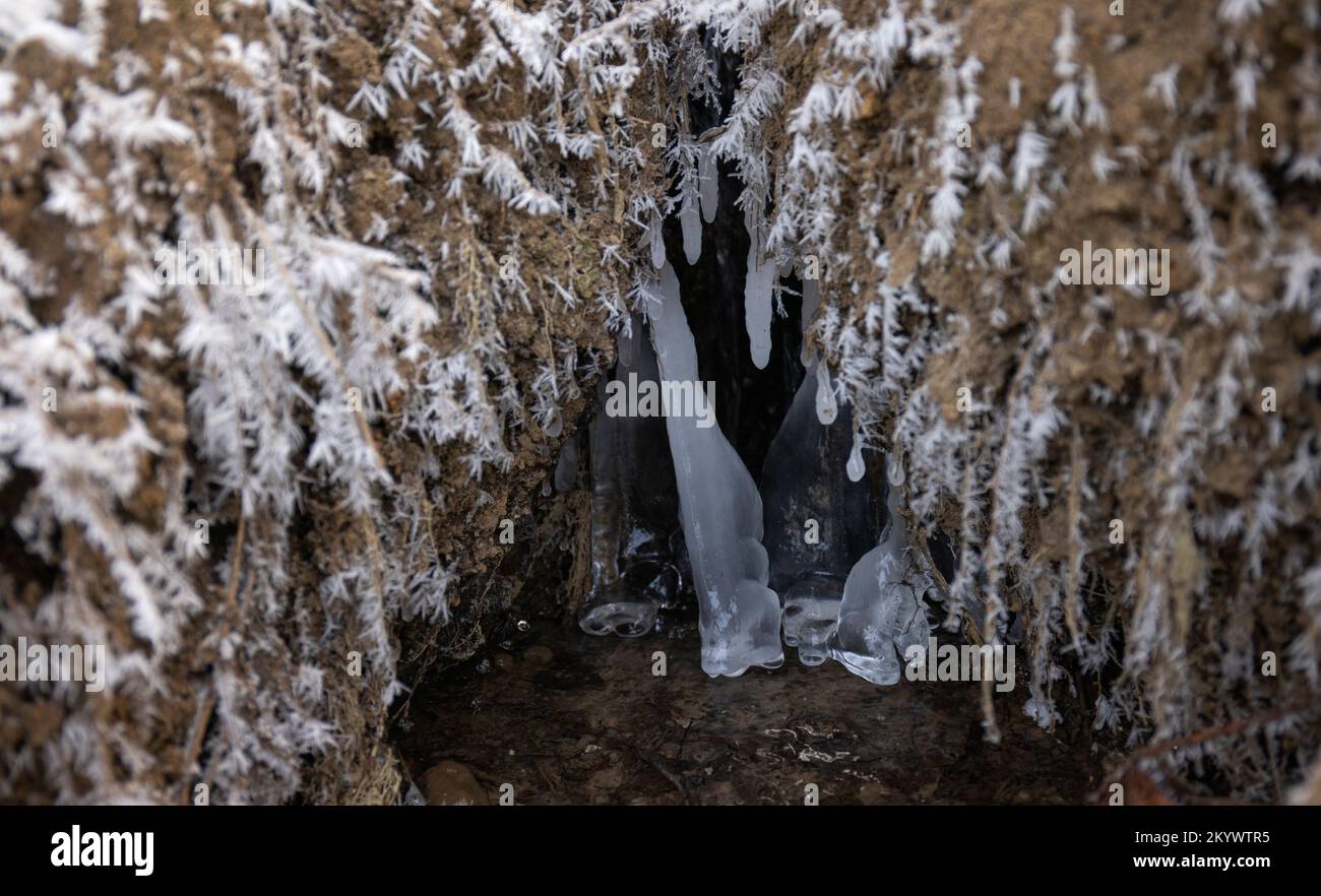 Frozen branches and leaves in snowflakes along the stream in the winter ...