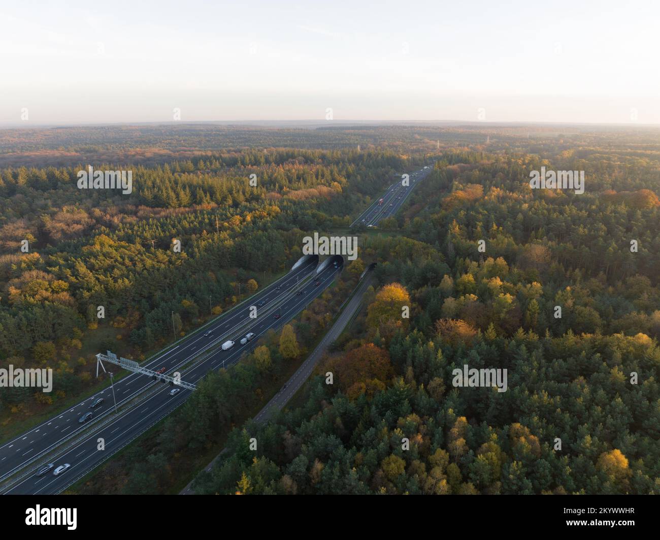 Ecoduct, ecopassage, nature bridge or game changeover. Infrastructure ...