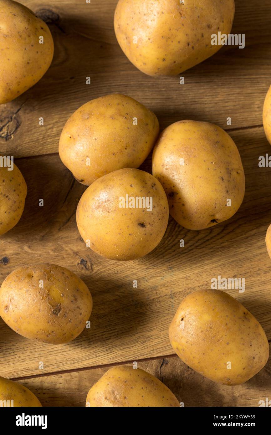 Homemade Raw Yellow Potatoes in a Bunch Stock Photo - Alamy