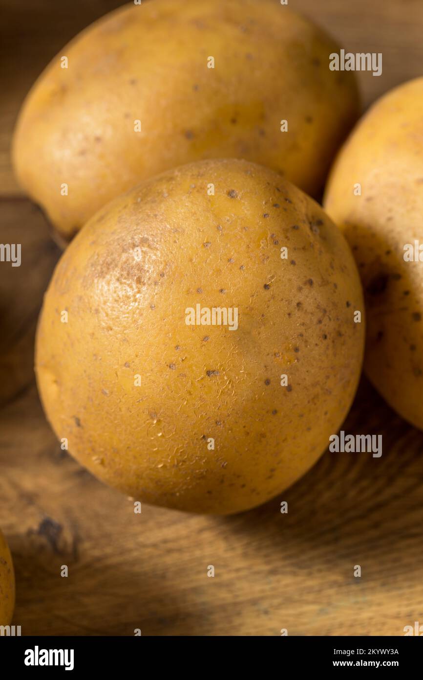 Homemade Raw Yellow Potatoes in a Bunch Stock Photo - Alamy