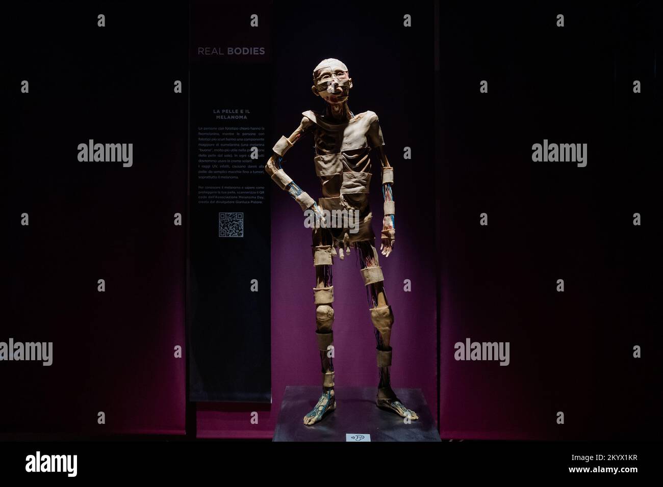 Bari, Italy. 02nd Dec, 2022. A human body posing at the Real Bodies ...