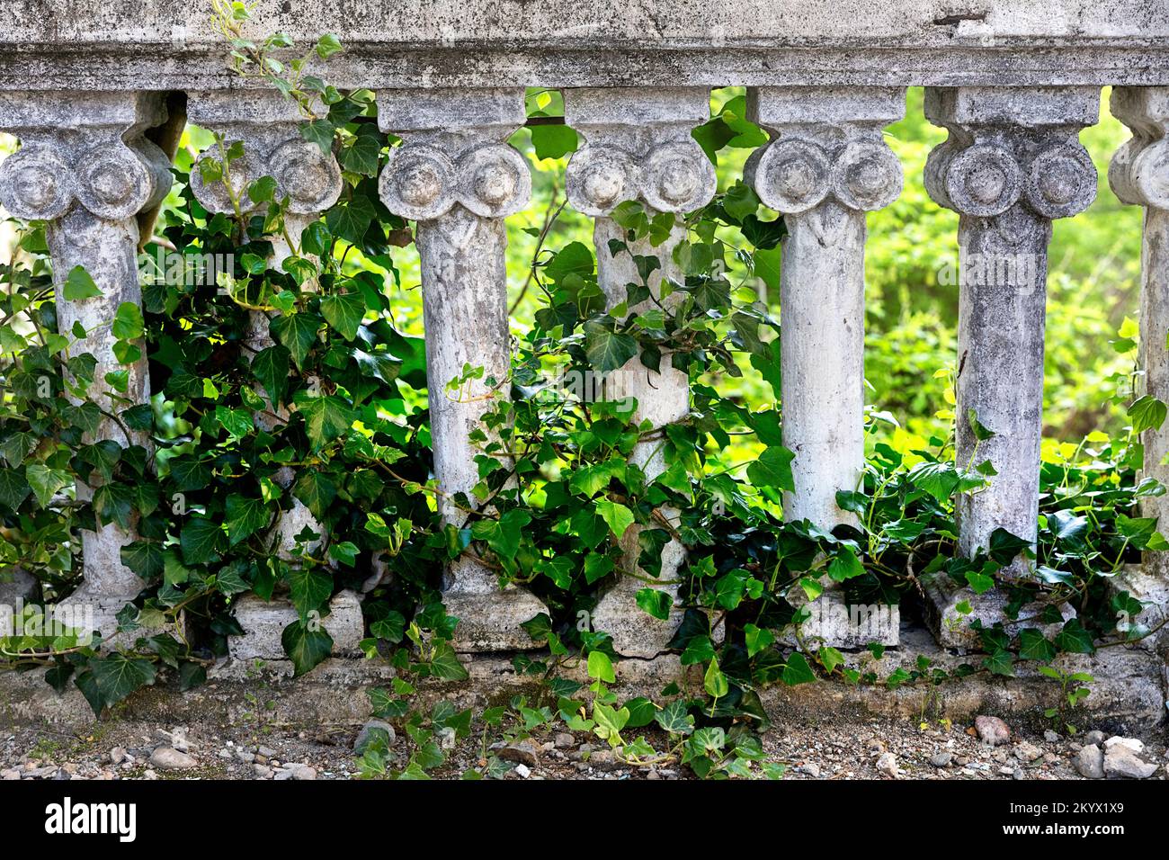 Beautiful concrete terrace fence overgrown with vegetation in abandoned ...