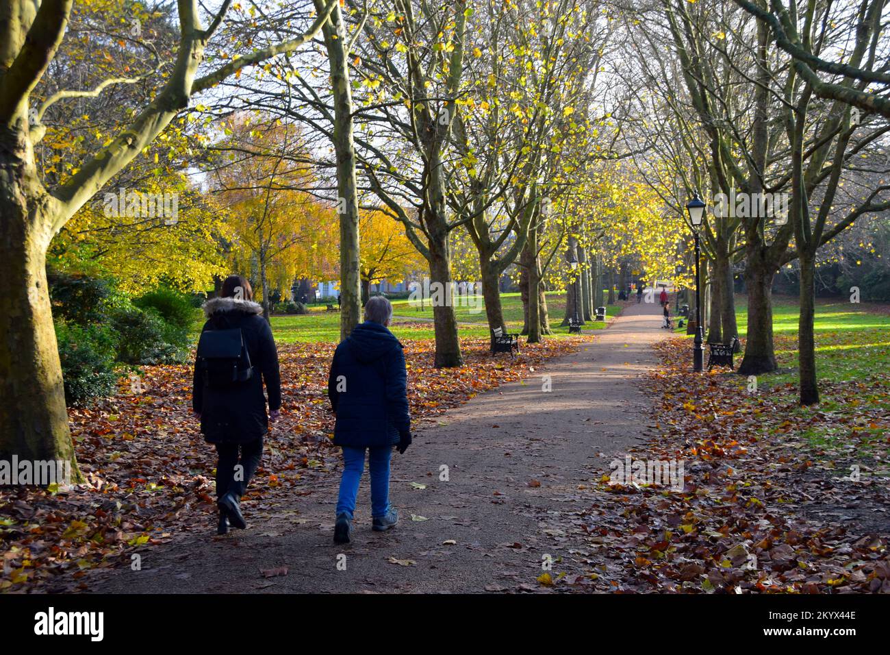 People enjoying the winter sunshine walk and fallen leaves in The Vines ...