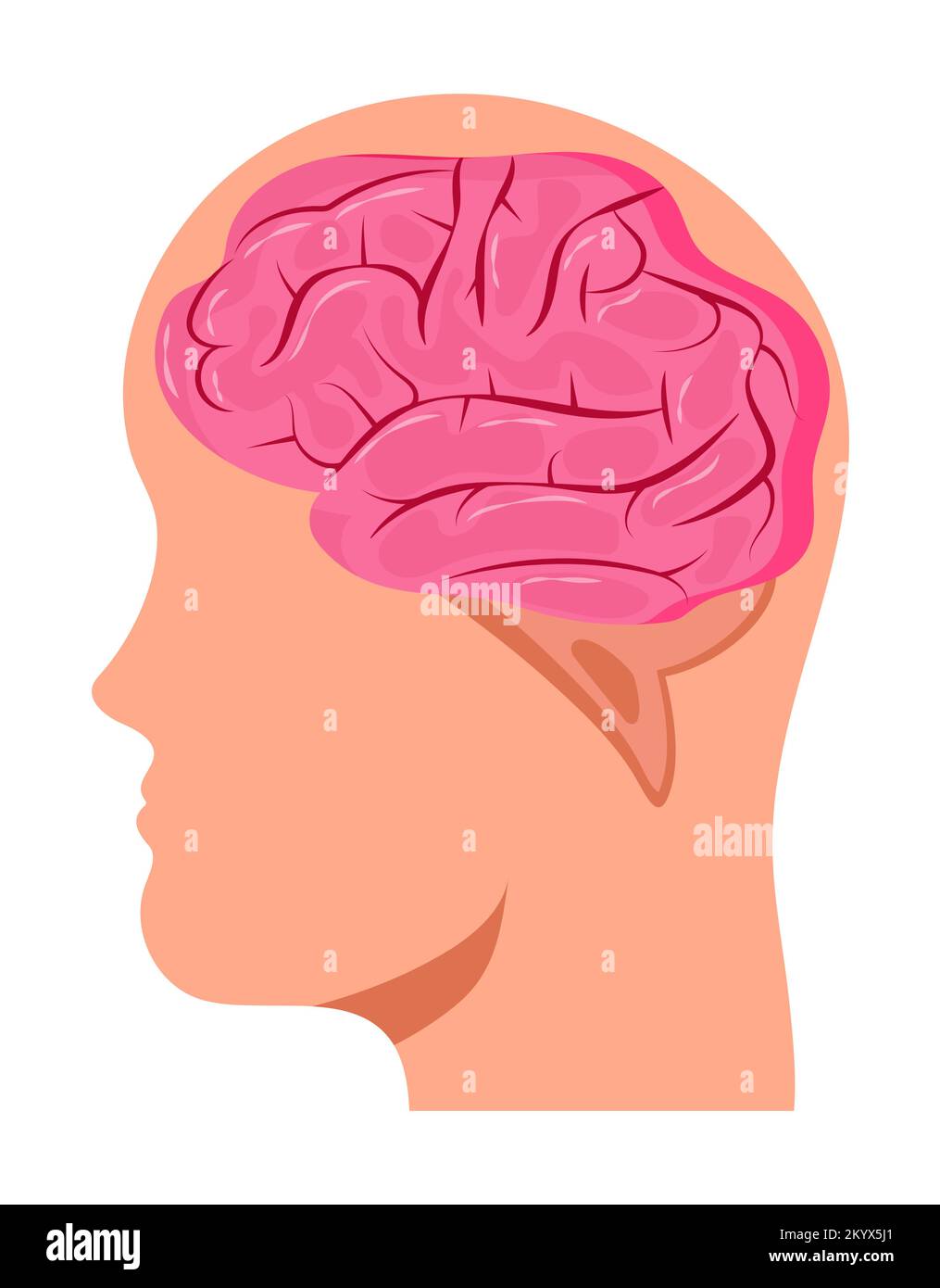 Brain of human, big head concept vector. Neurology problems, Parkinson ...
