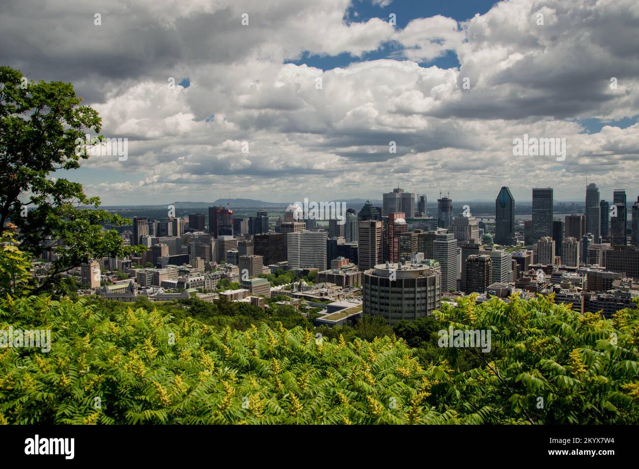 Summer landscape in Montreal Stock Photo - Alamy