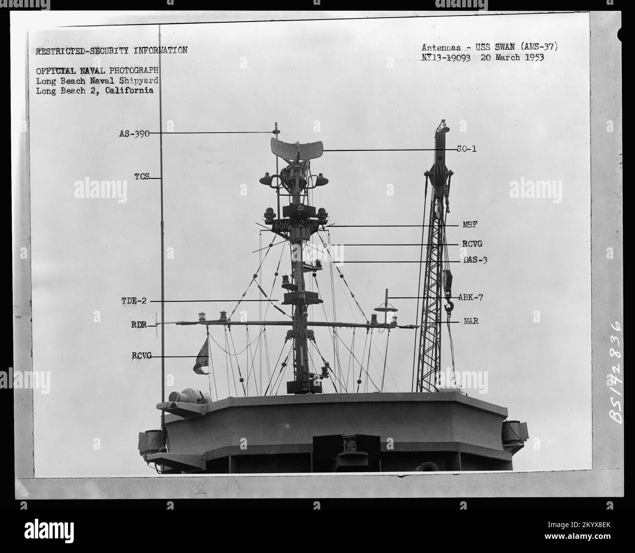 AMS-37 Swan , Ships, Naval Vessels, Boats, Naval History, Navy Stock ...