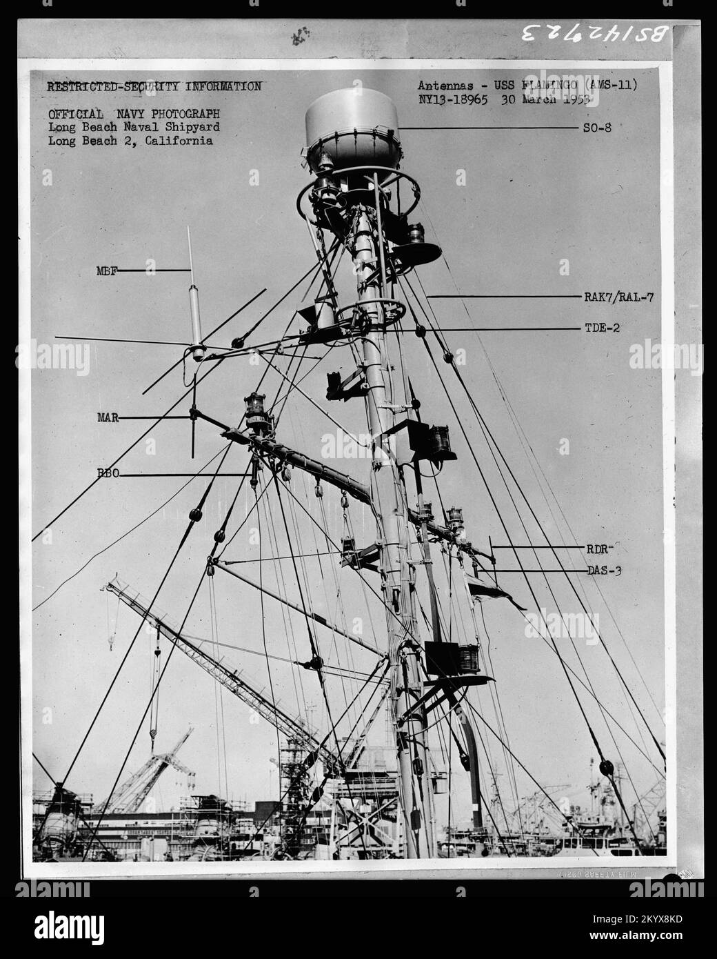 AMS-11 Flamingo , Ships, Naval Vessels, Boats, Naval History, Navy ...