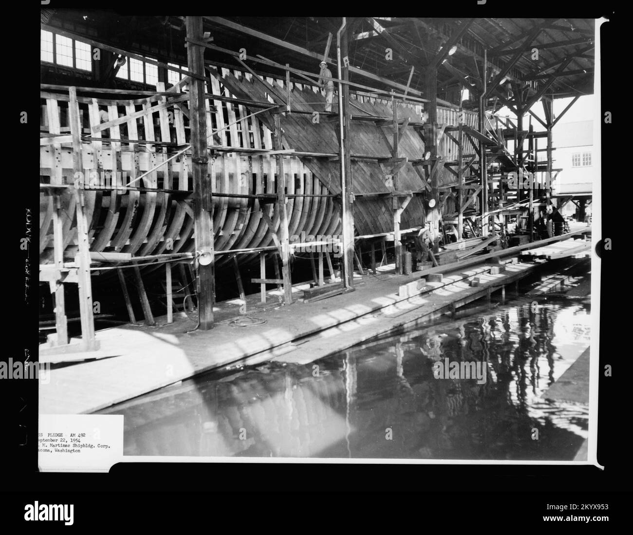 AM-488 and 491 and 492 , Ships, Naval Vessels, Boats, Naval History ...