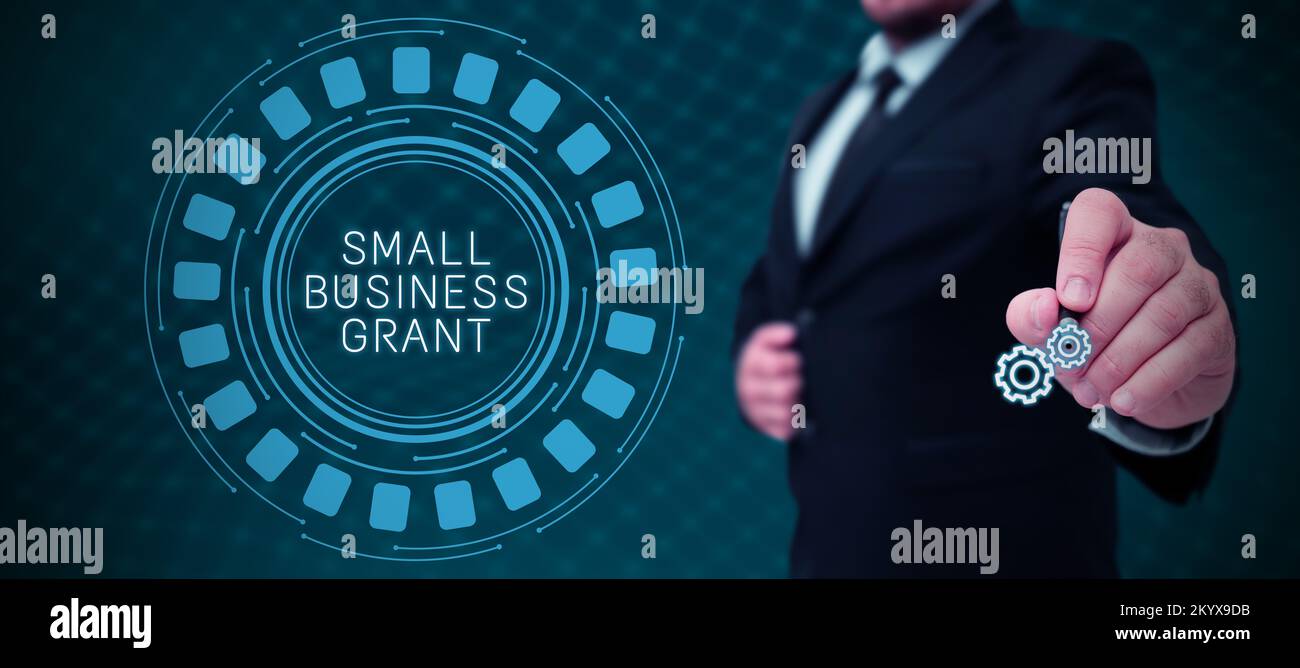 Text showing inspiration Small Business Grant. Word for an individual ...