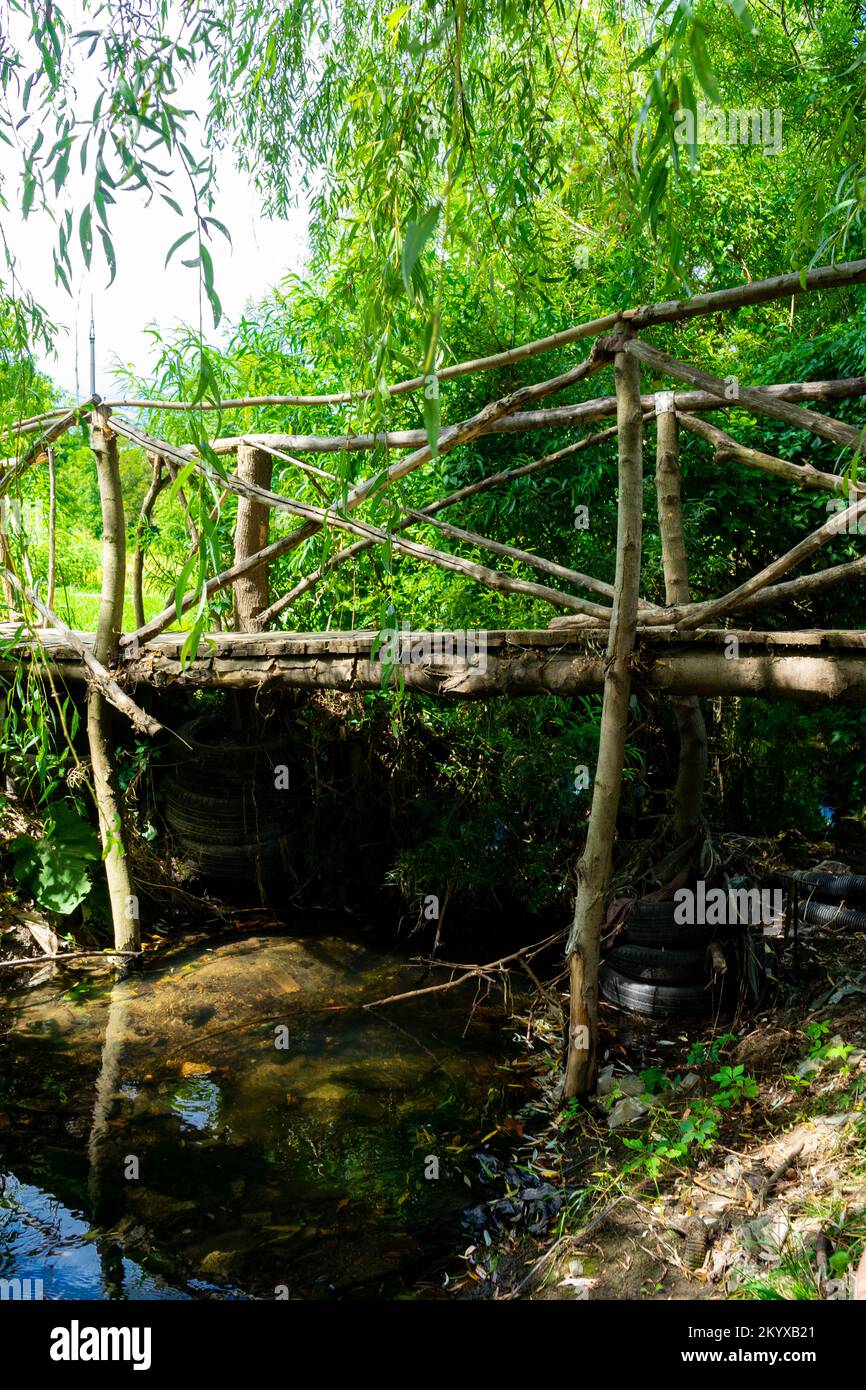 Canopy trail bridge hi-res stock photography and images - Alamy