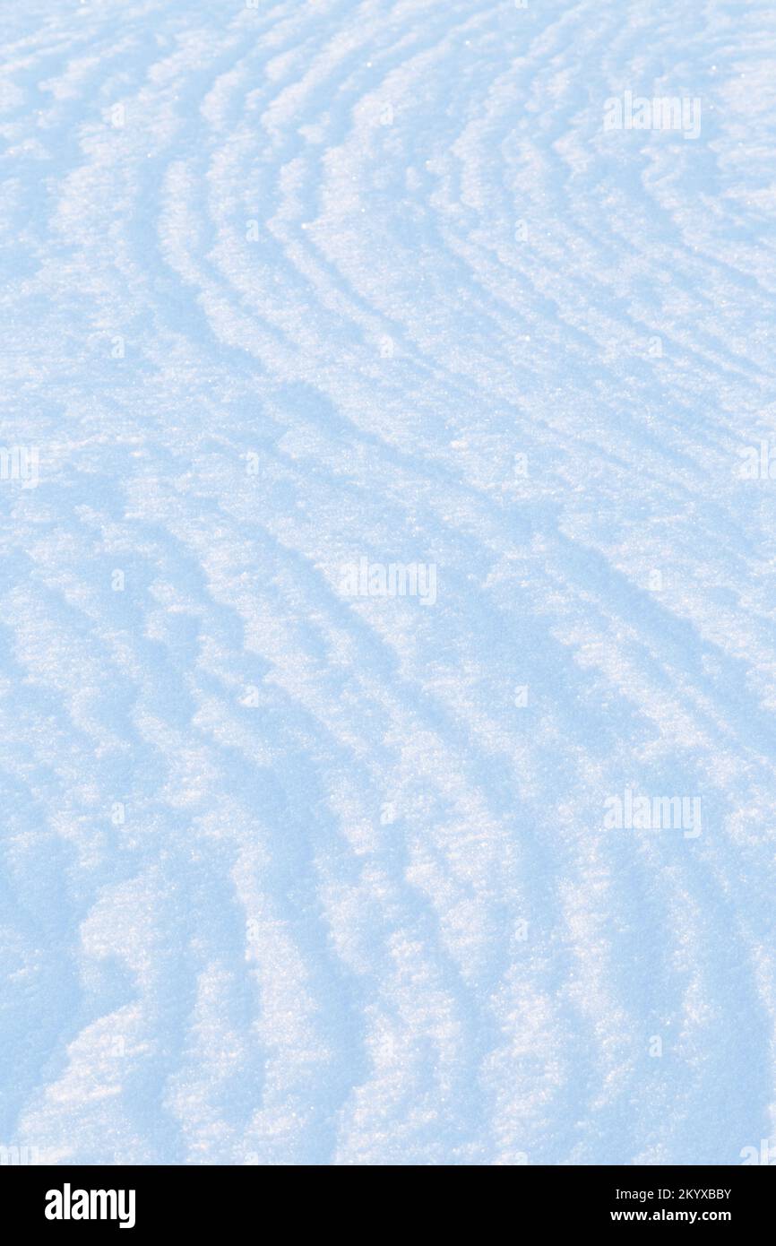 Close-up of fresh shiny snow on the ground on a sunny day, curved ...