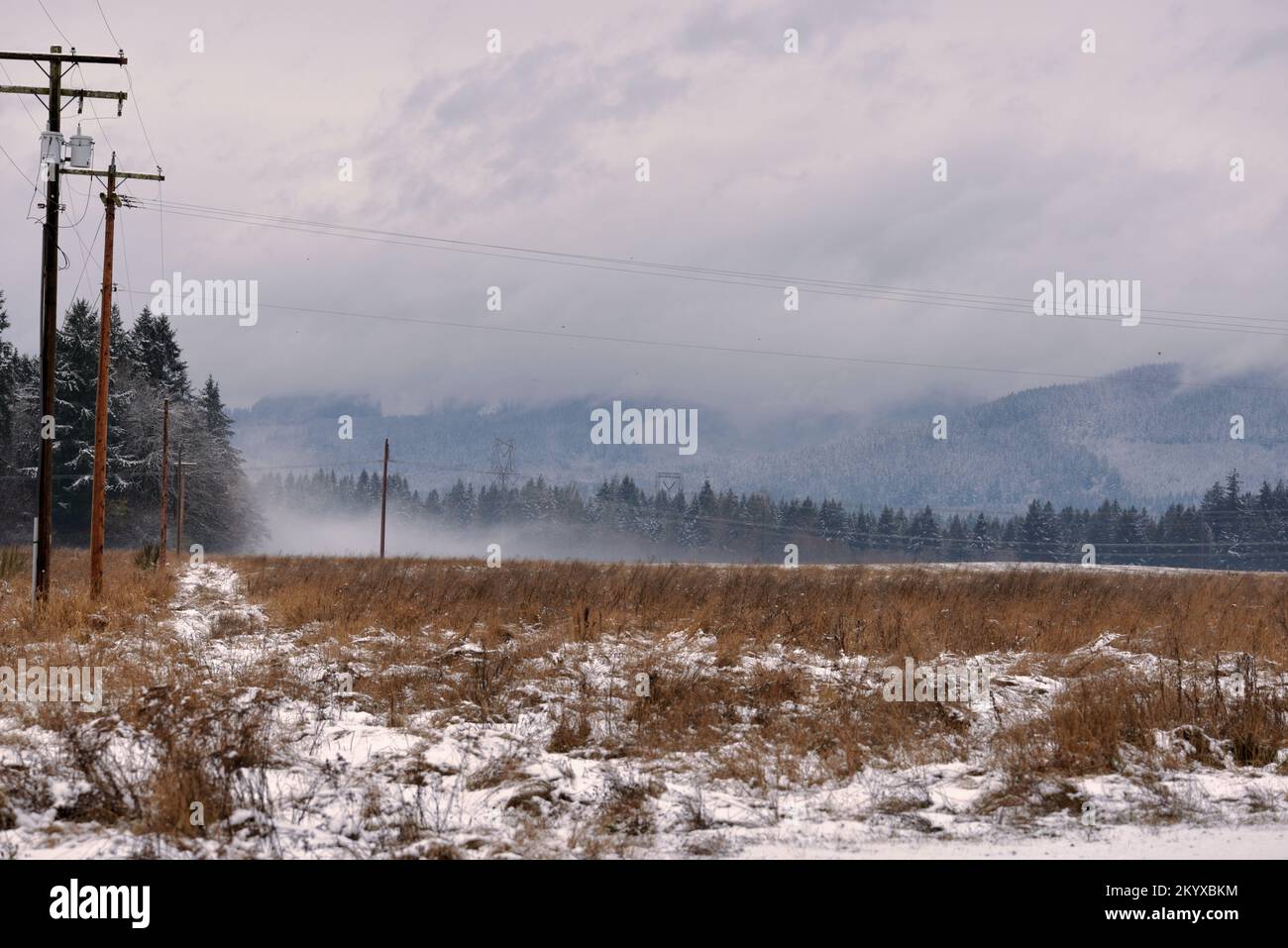 Capitol forest olympia hi-res stock photography and images - Alamy