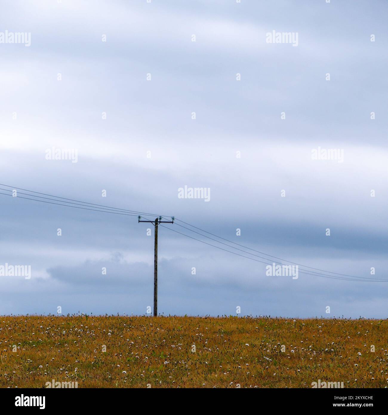 A power lines in a field. Minimalistic landscape, electric post on ...