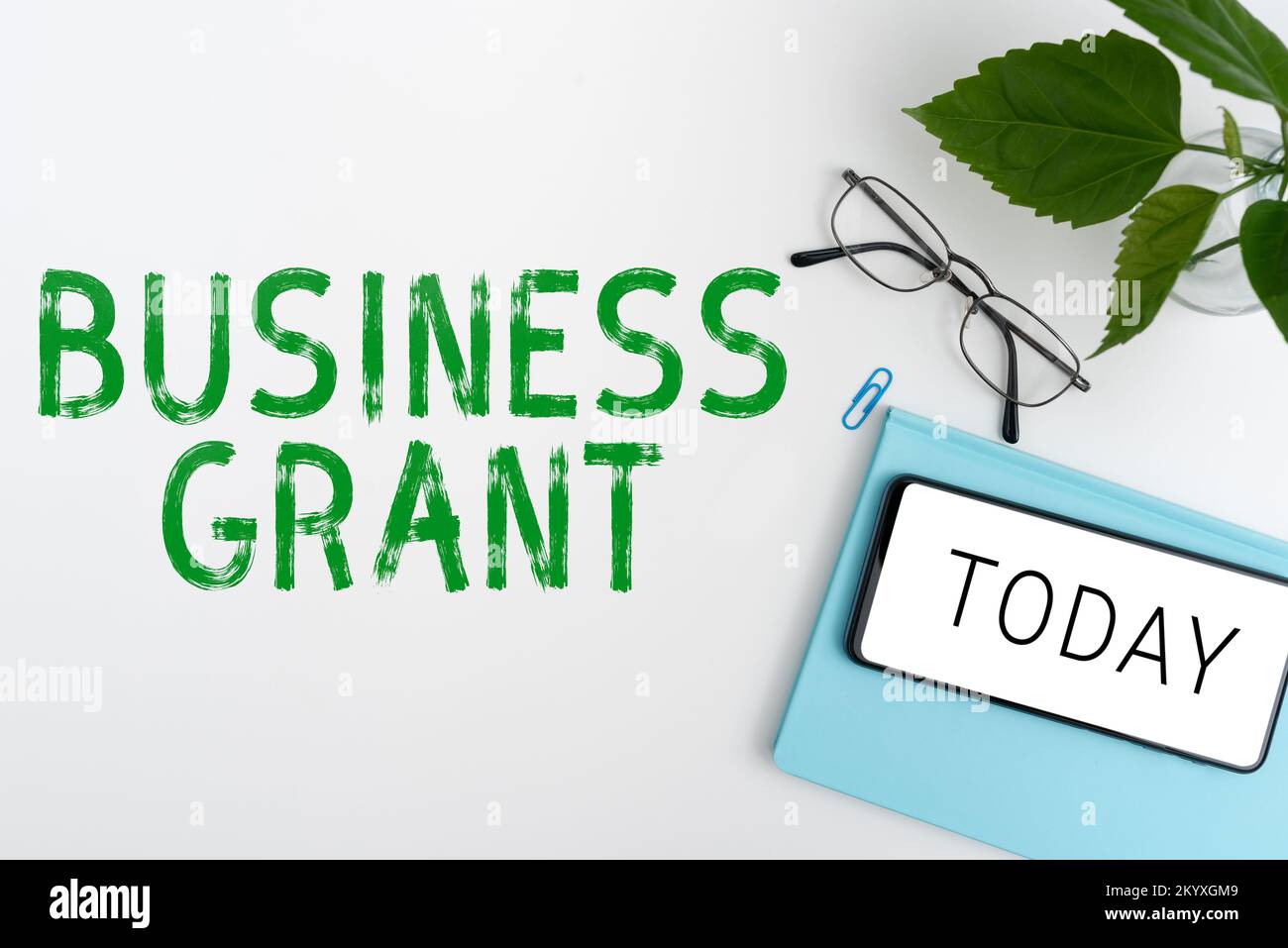 Text sign showing Business Grant. Word for Working strategies ...