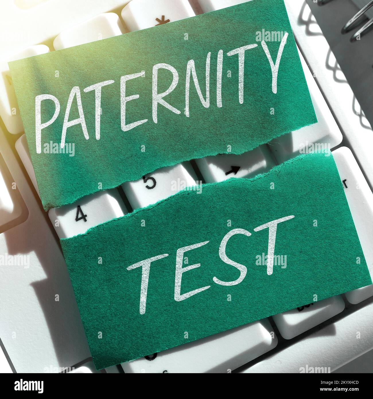 Writing displaying text Paternity Test. Concept meaning a test of DNA ...