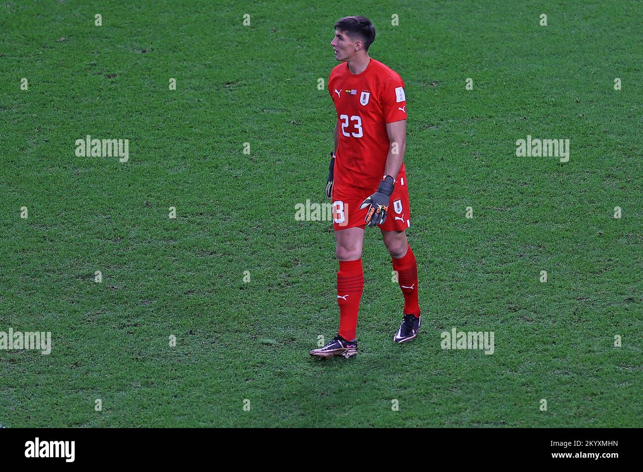 Doha, Qatar. 02nd Dec, 2022. Sergio Rochet of Uruguay, during the match ...