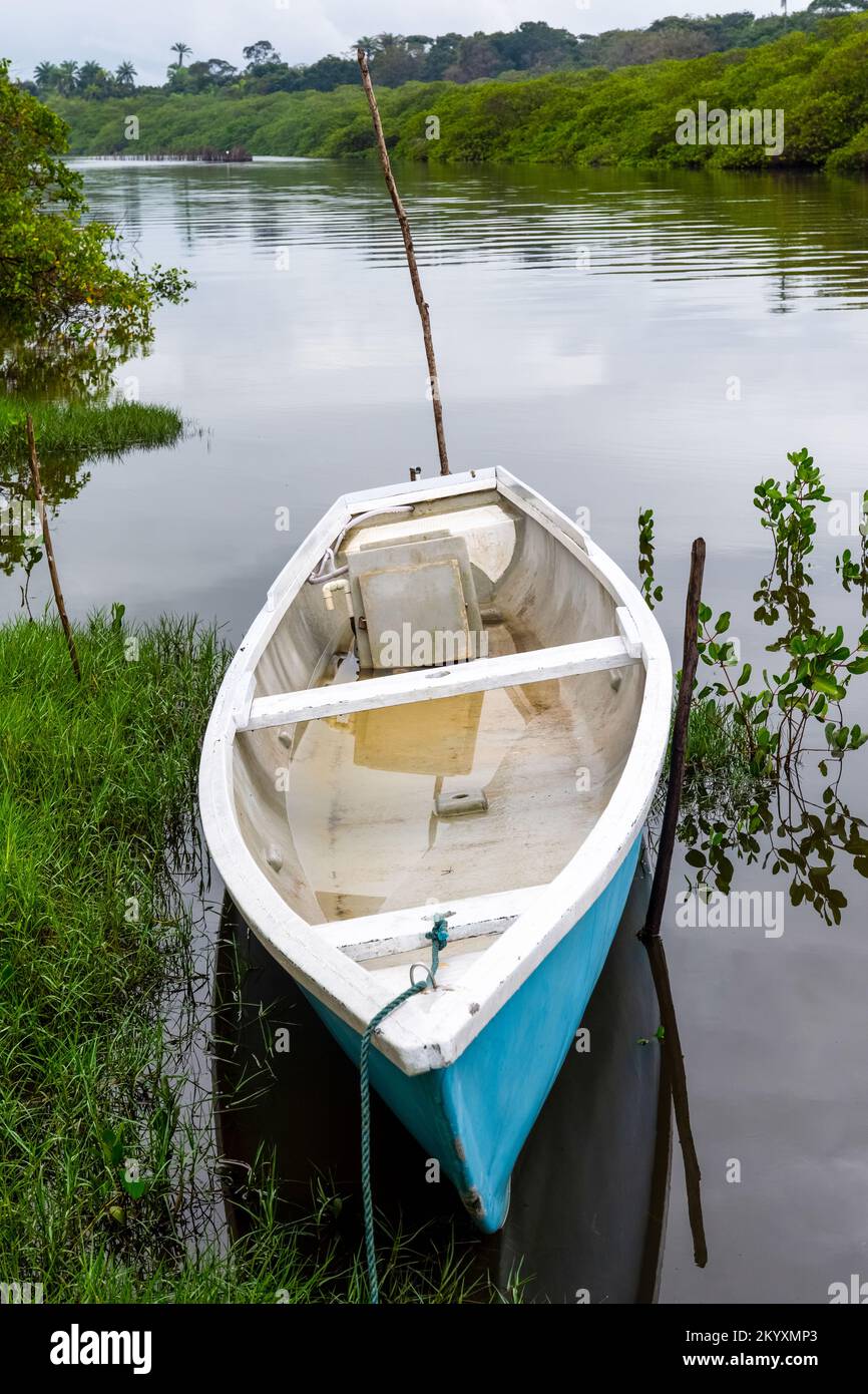 Boat standing on the river against green forest in the background ...