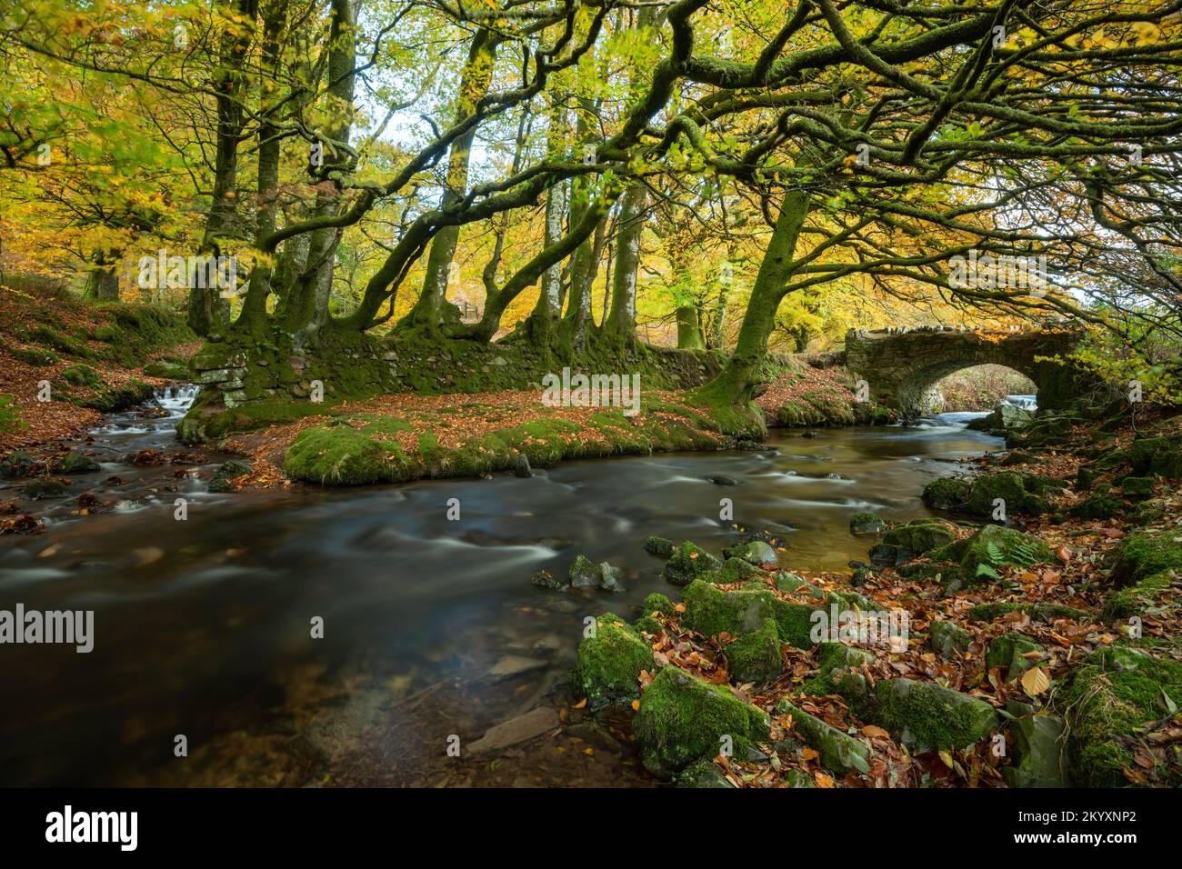 The Weir Water river flowing under Robbers Bridge in Exmoor National ...