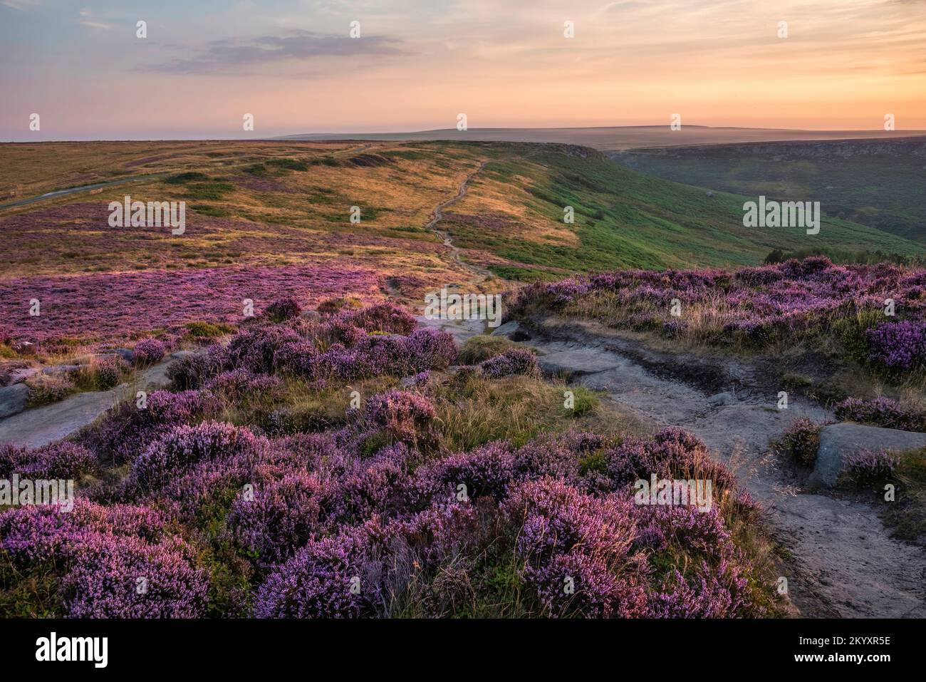 Stunning late Summer sunrise in Peak District over fields of heather in ...