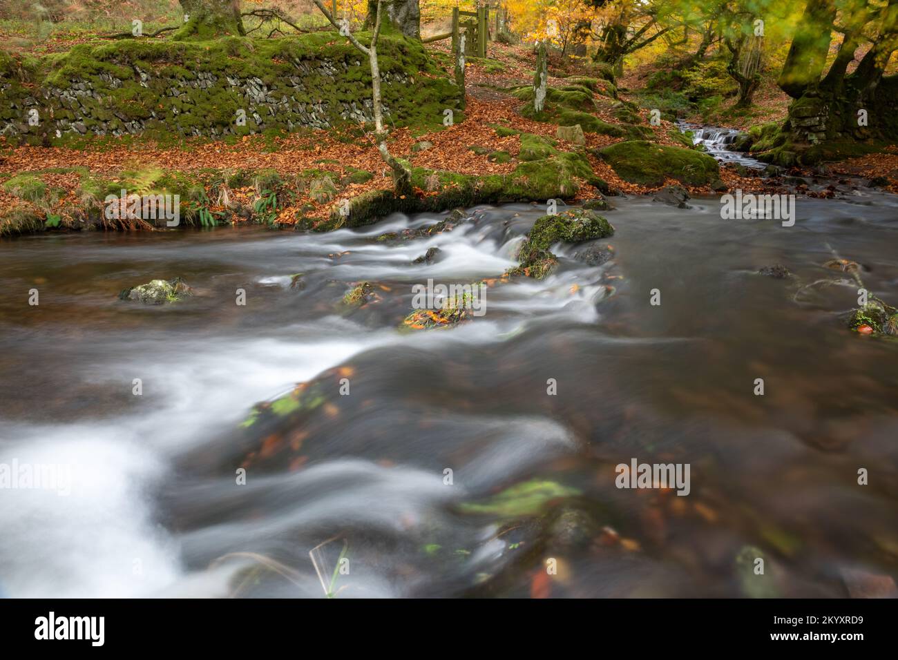 Long exposure of the Weir Water river flowing downstream of Robbers ...