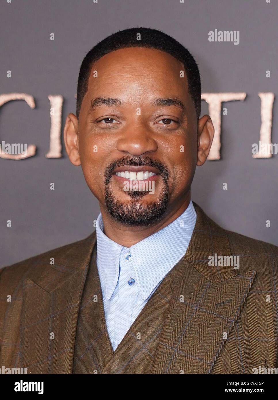 Will Smith attends the European Premiere of Emancipation at the Vue ...
