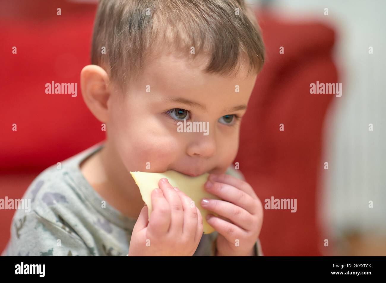 cute young boy eating cheese at home while watching tv next to the ...
