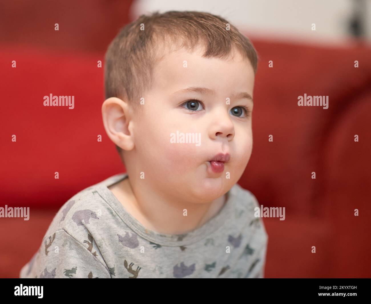 cute young boy eating cheese at home while watching tv next to the ...
