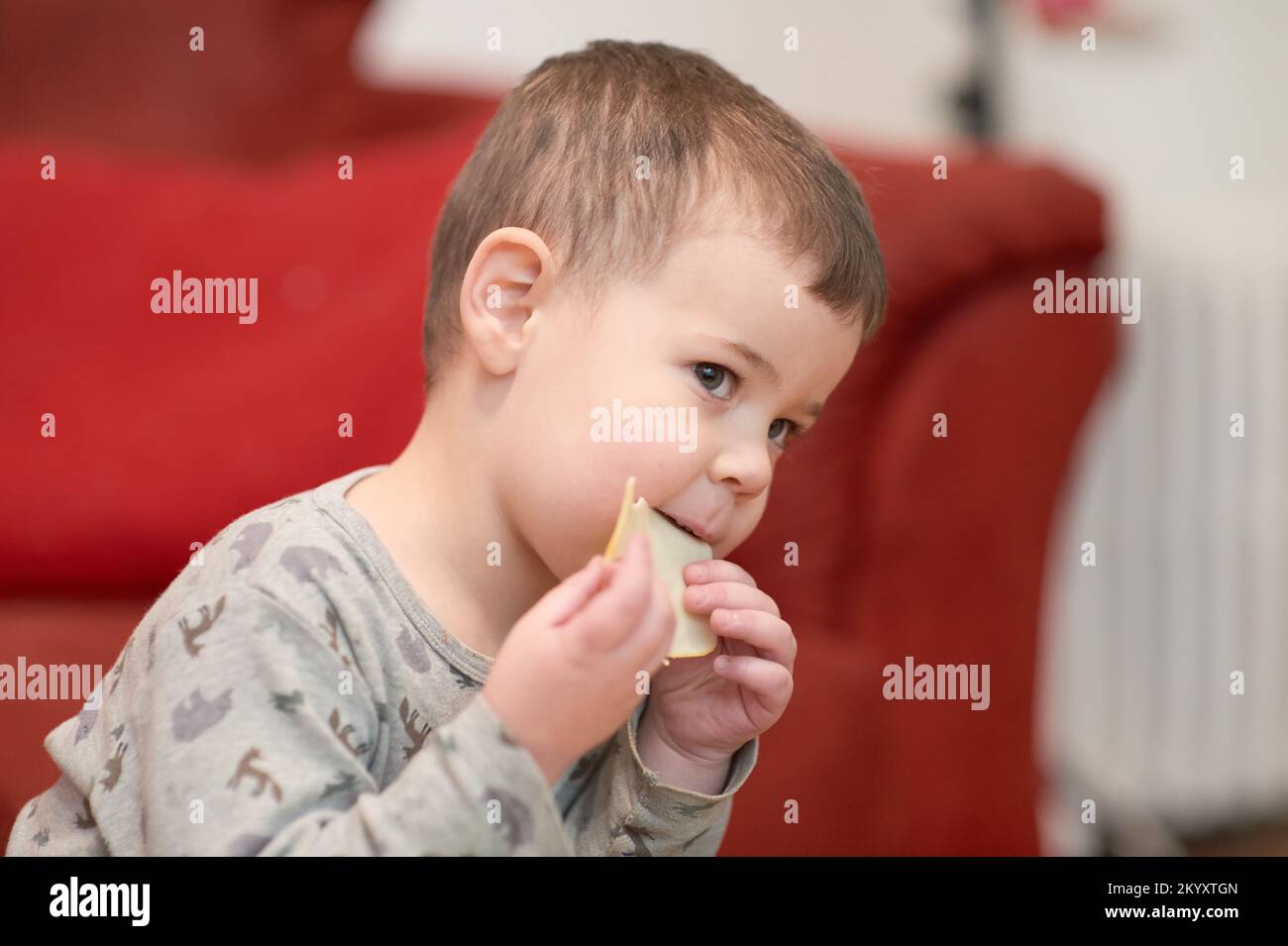 cute young boy eating cheese at home while watching tv next to the ...