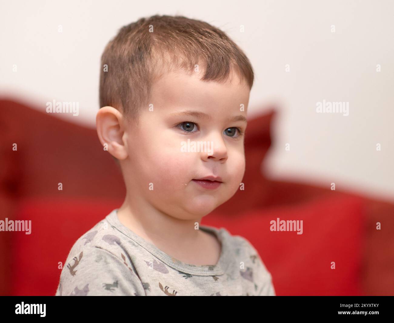 cute young boy eating cheese at home while watching tv next to the ...