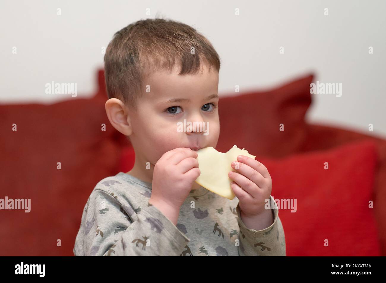 cute young boy eating cheese at home while watching tv next to the ...