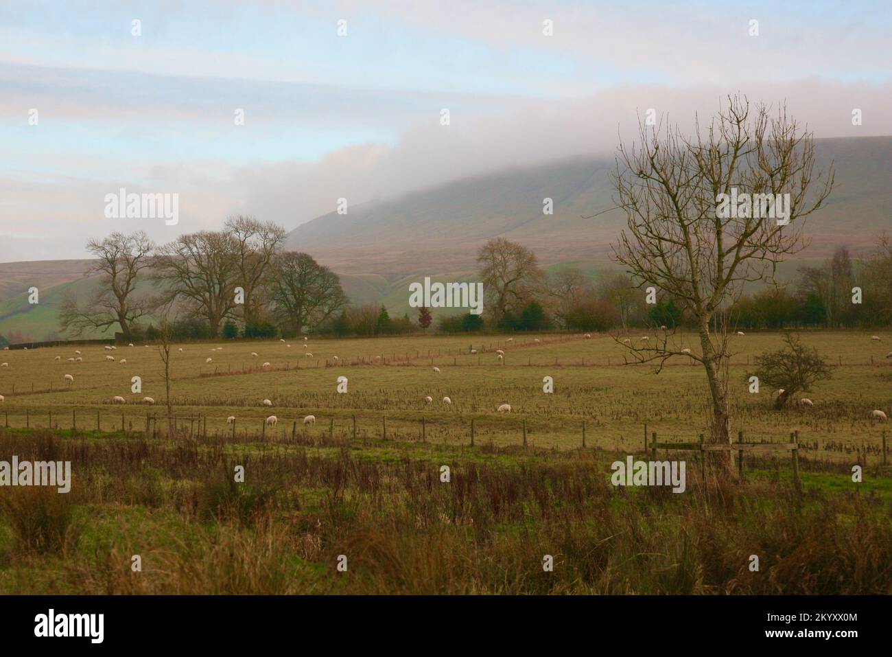 A view of Pendle Hill from Worston village, Lancashire, United Kingdom ...