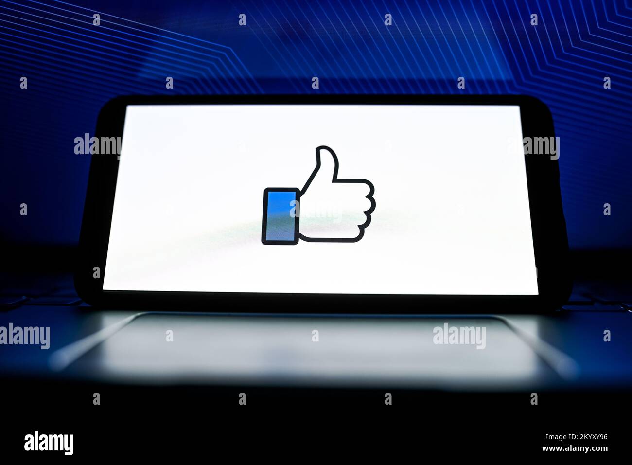 Nysa, Poland. 2nd Dec, 2022. In this photo illustration a Like Button ...