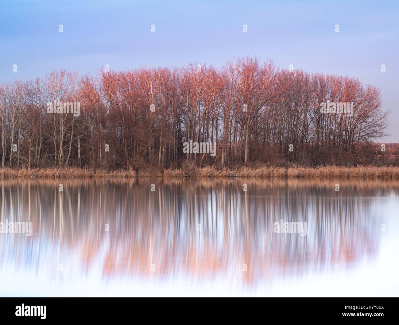 Lake reflection trees hi-res stock photography and images - Alamy
