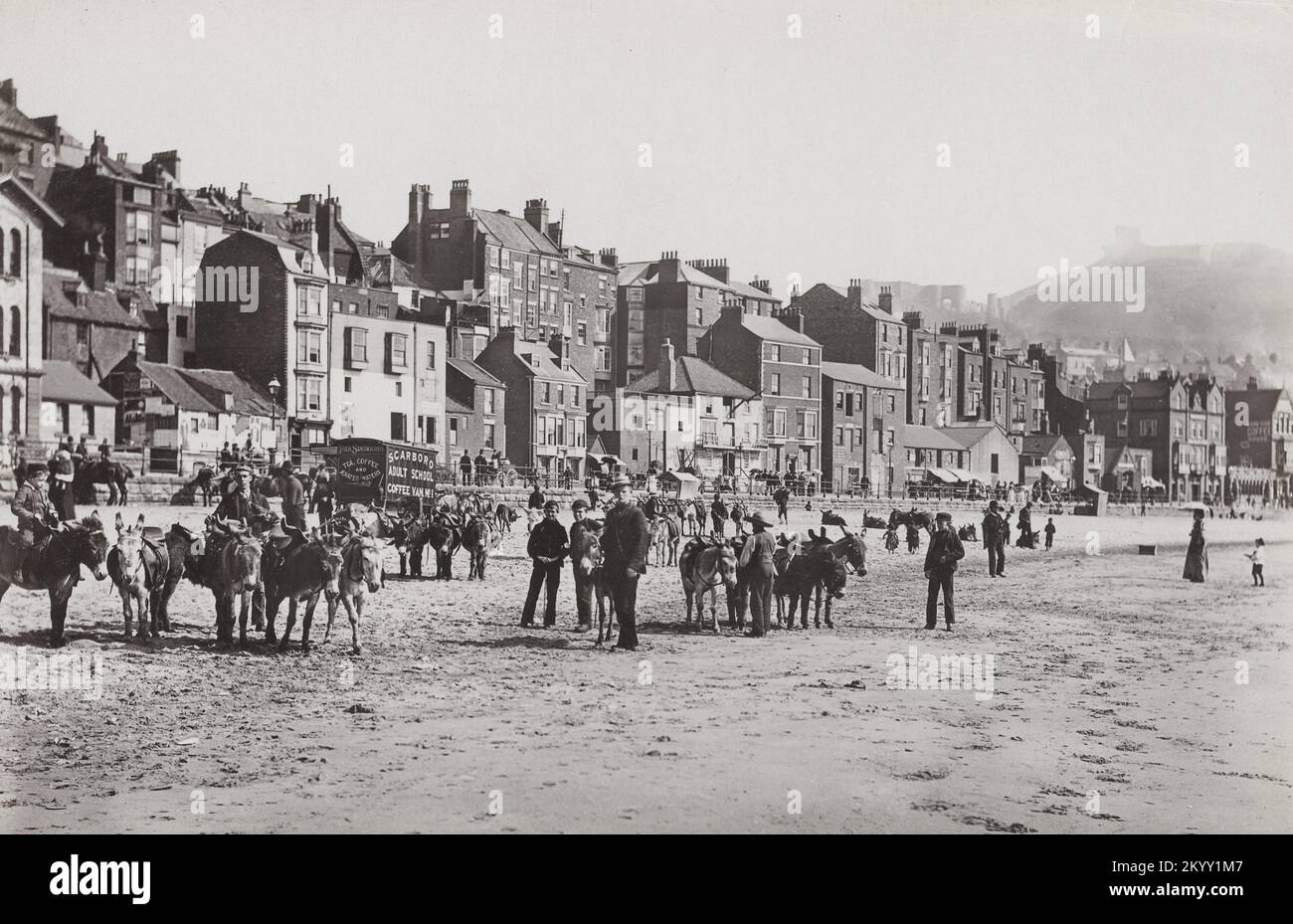Vintage photograph - 1895 - Beach front scene with donkeys, Scarborough ...