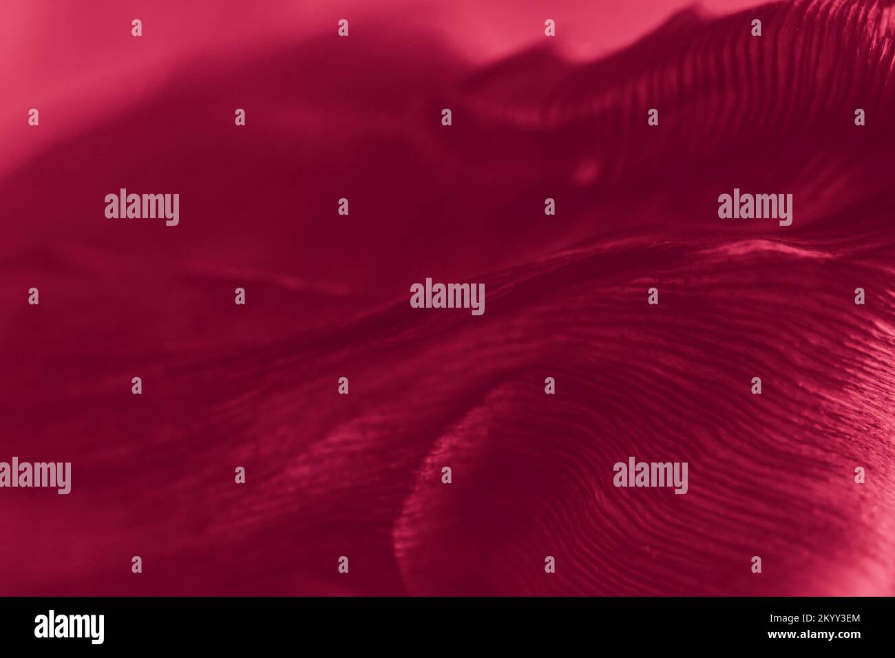 Abstract background color viva hi-res stock photography and images - Alamy