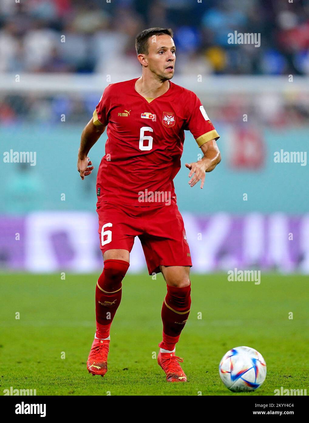 Serbia's Nemanja Maksimovic during the FIFA World Cup Group G match at ...