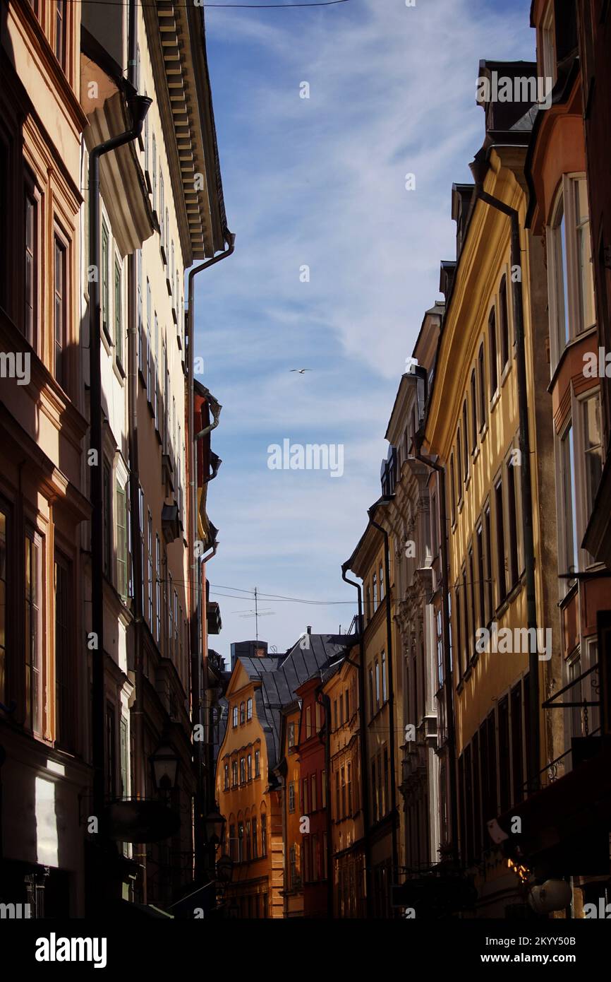 a narrow city street with tall buildings Stock Photo - Alamy