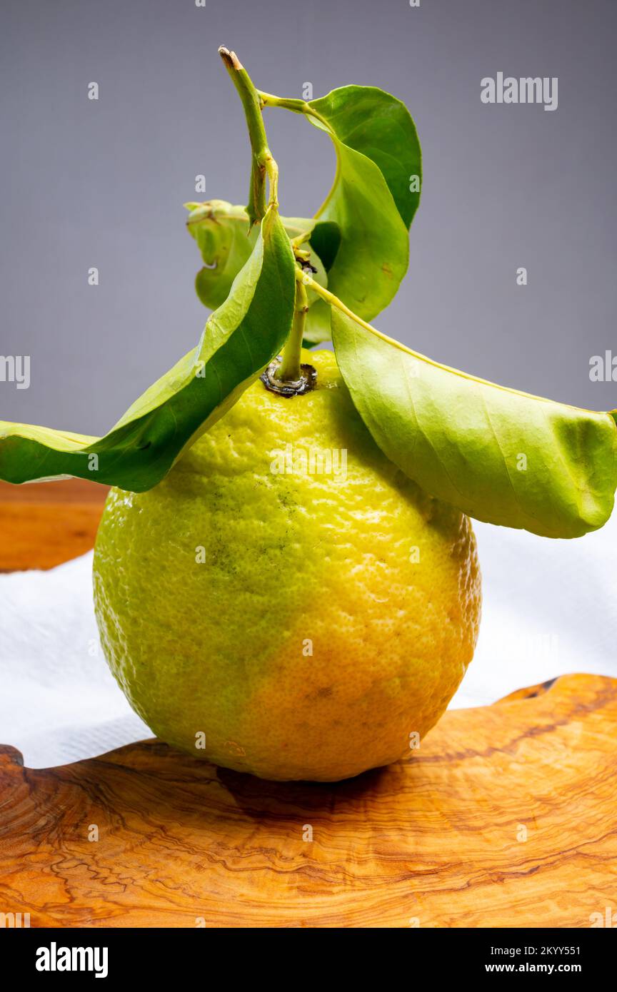 Lemon citron cedrate or Citrus medica, large fragrant citrus fruit with ...