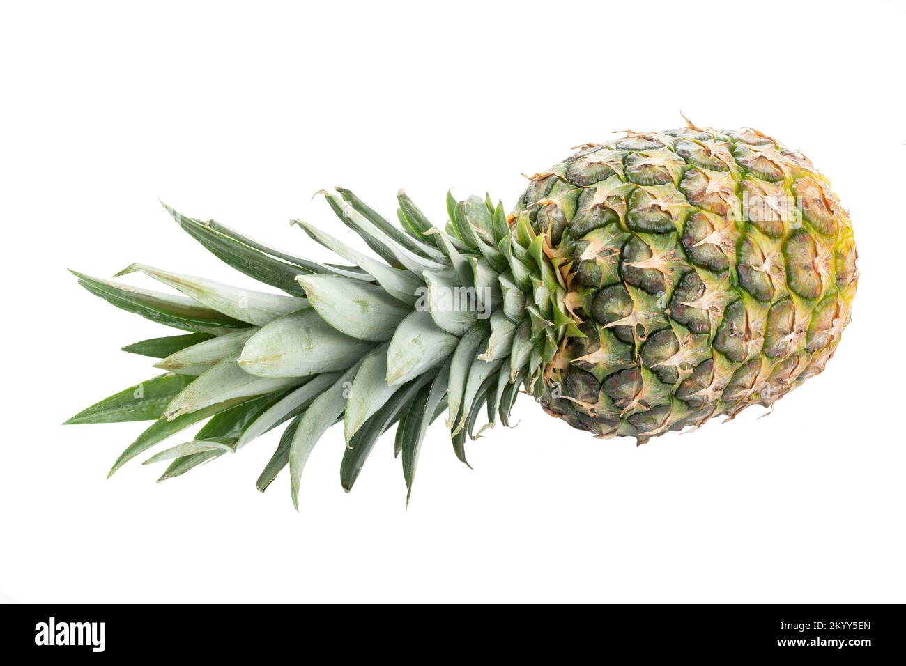 Fresh whole pineapple isolated on white background. File contains ...
