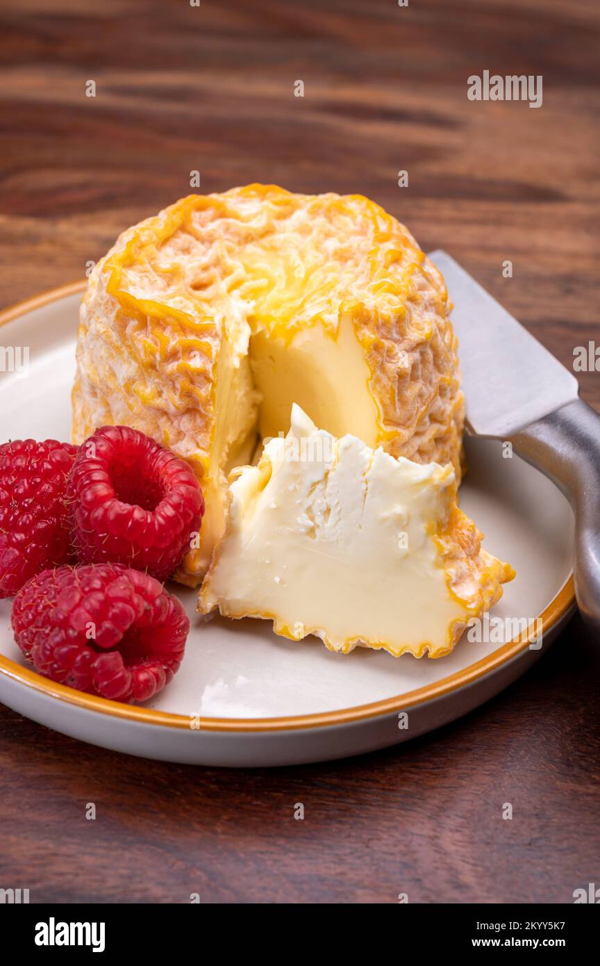 French Langres soft cows crumbly cheese with washed rind structure made ...