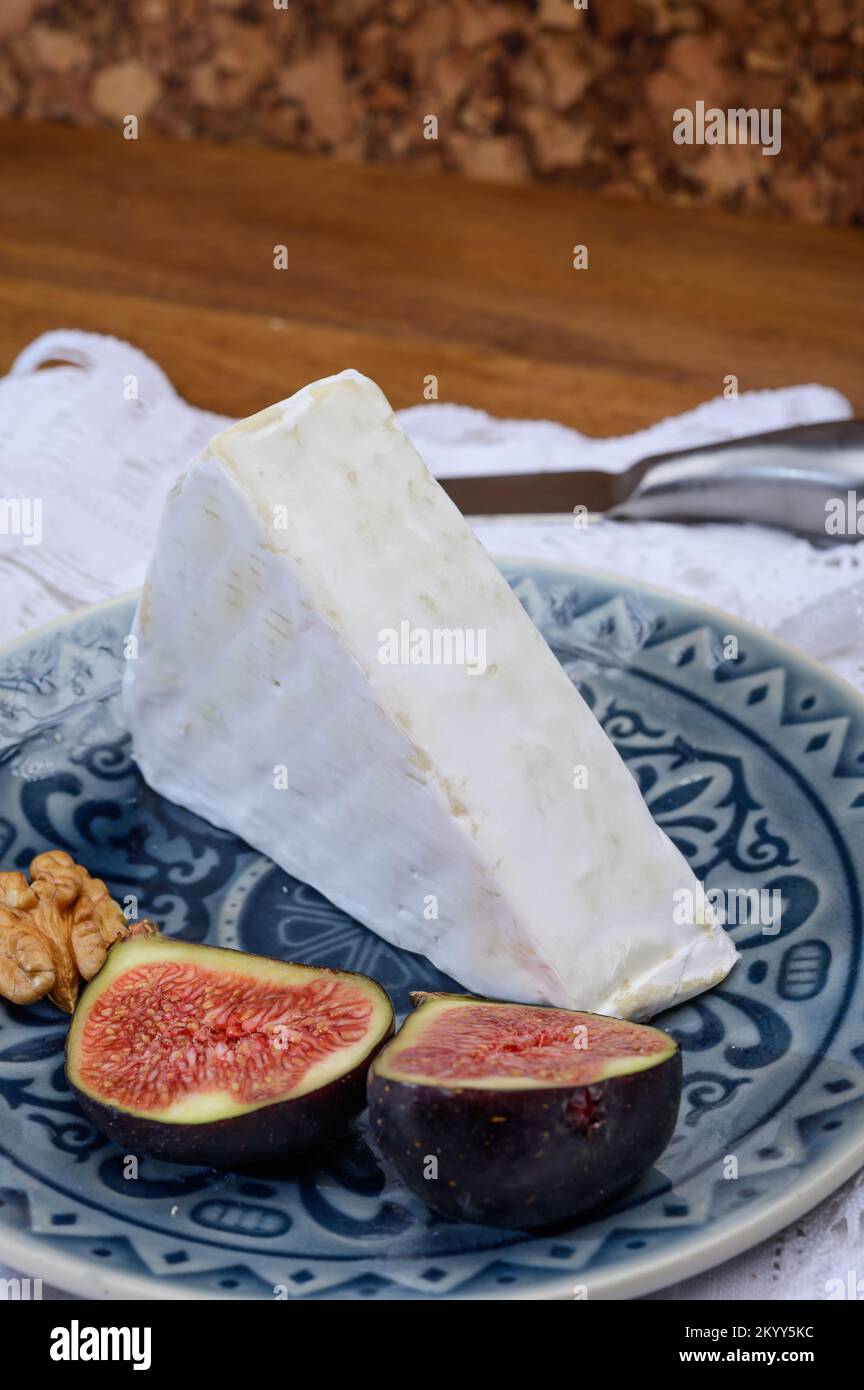 Cheese collection, French brie de Meaux cheese from Seine-et-Marne ...