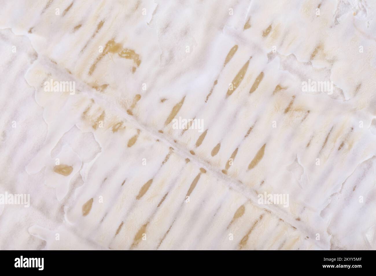 Detail of the cheese camembert or brie close up texture Stock Photo - Alamy