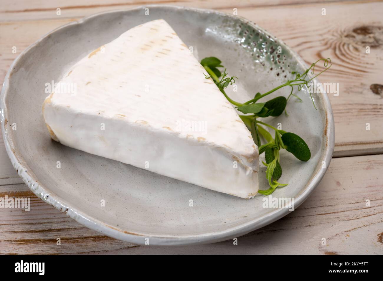 Cheese collection, French brie de Meaux cheese from Seine-et-Marne ...