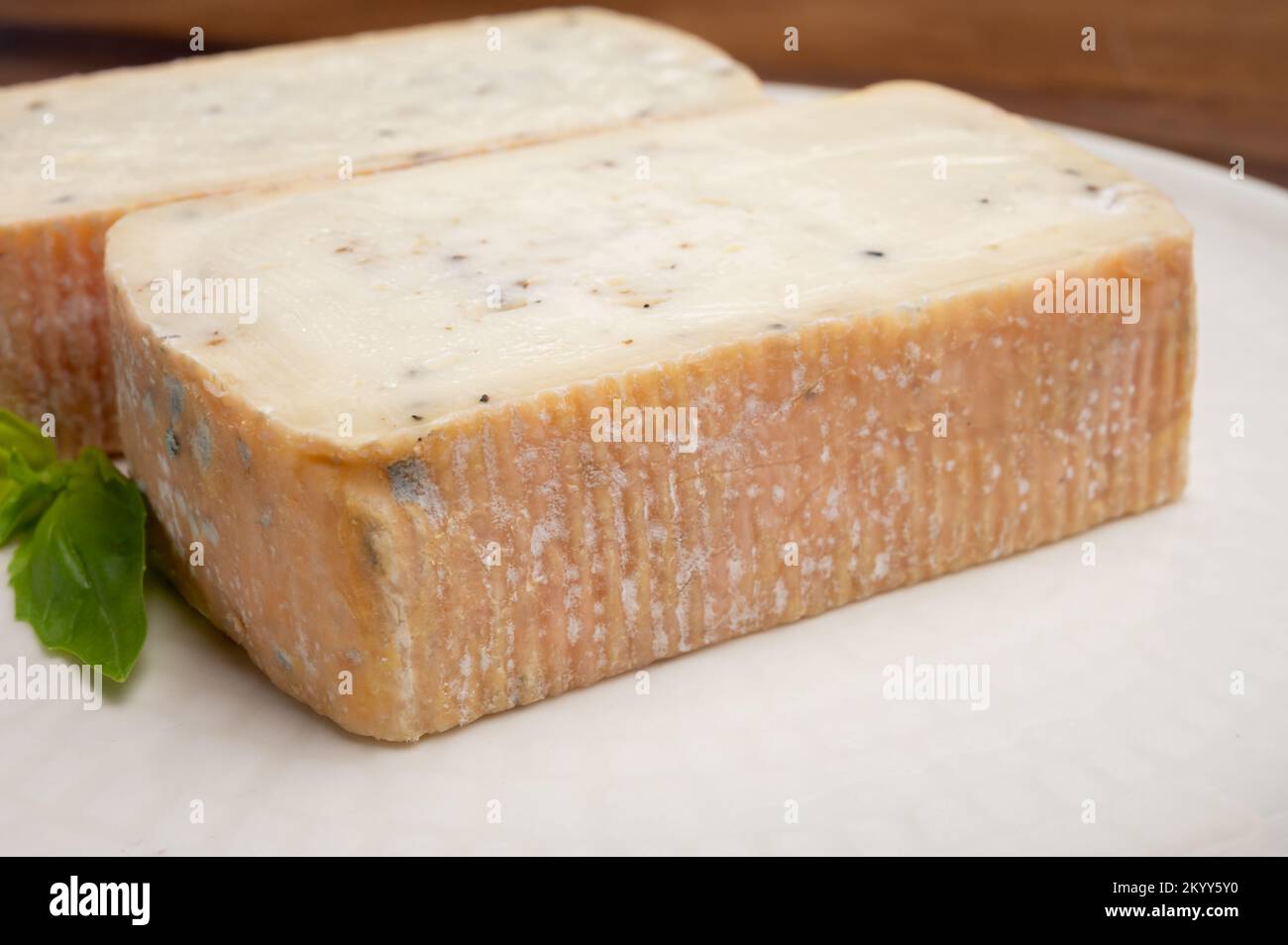 Italian cheese collection, yellow taleggio cheese with black truffles ...