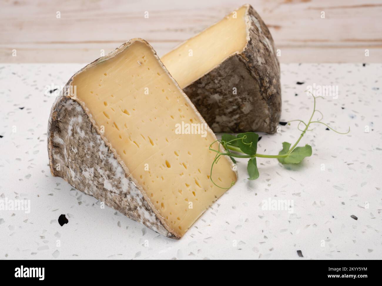 Pieces of cheese tomme de montagne or tomme de savoie made from cow ...