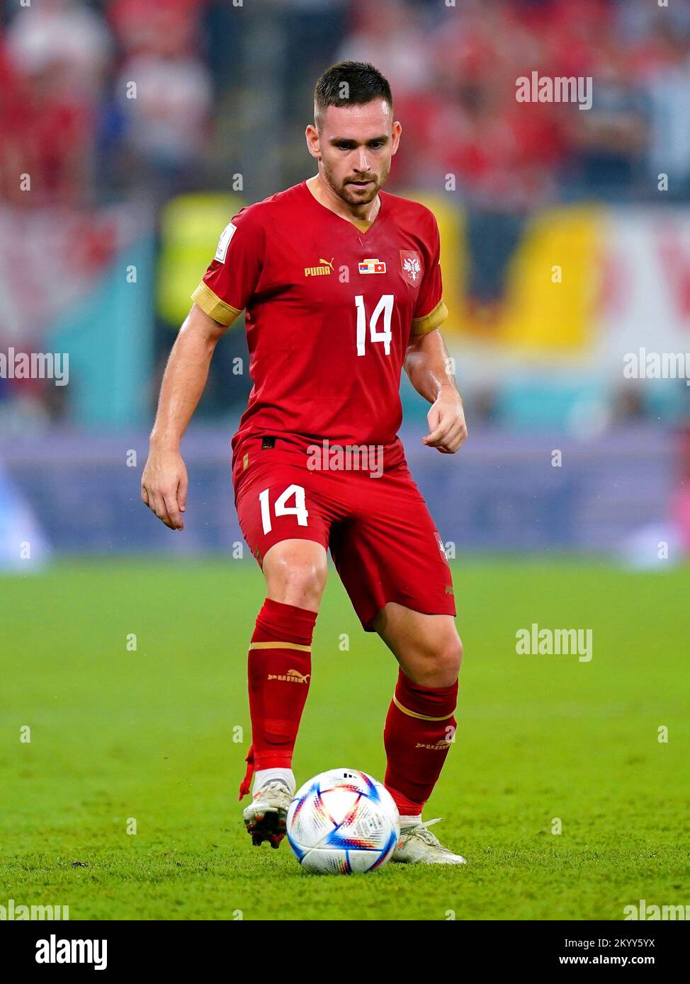 Serbia's Andrija Zivkovic during the FIFA World Cup Group G match at ...