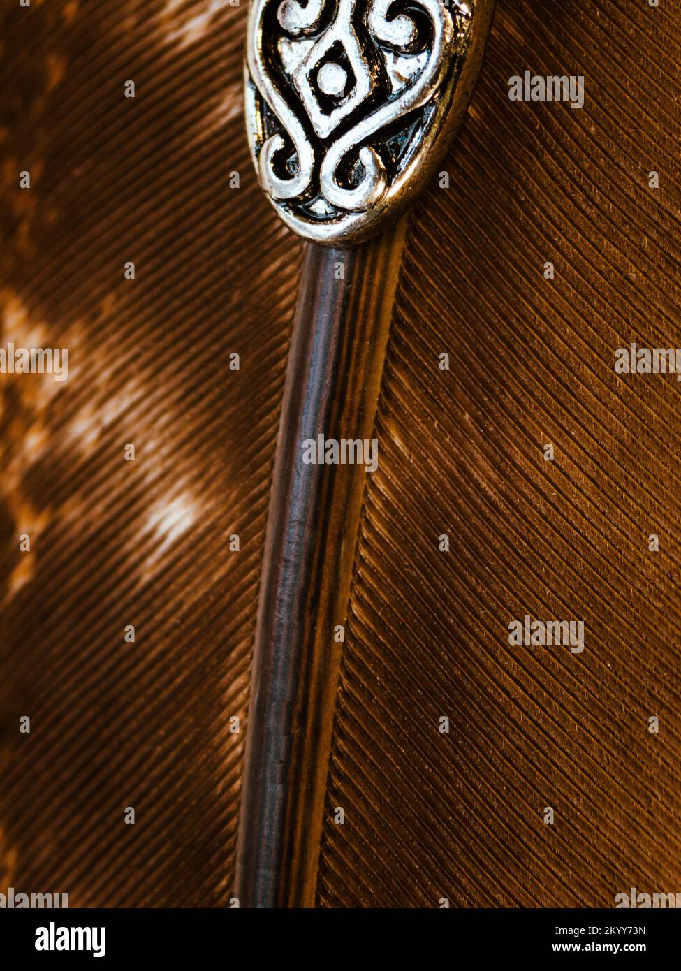 Golden quill hi-res stock photography and images - Alamy